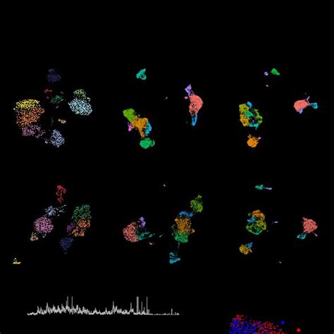 Scturboatac Resolves Additional Cell Types In Pbmcs A Umap Embedding Download Scientific