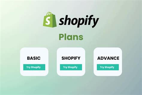 Which Shopify Plan Is Best For A Beginner Techcult