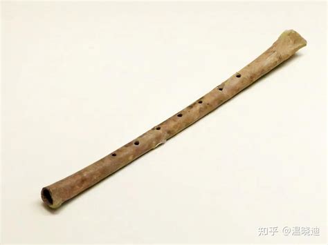 舞阳贾湖遗址 知乎