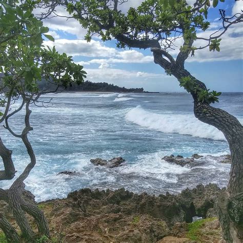 Free Images Beach Sea Coast Tree Nature Outdoor Ocean Shore