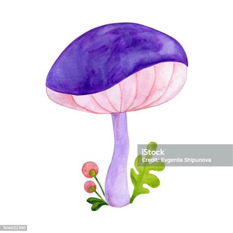 보라색 만화 버섯입니다 붉은 열매와 푸른 잔디에 사이키델릭 색상 수채화 그림 Hd 포맷에 대한 스톡 벡터 아트 및 기타 이미지