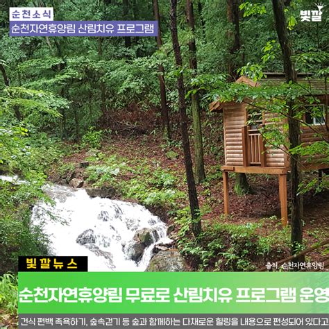 피톤치드 치덕치덕 힐링여행 국내휴양지 순천자연휴양림 산림 치유 프로그램 무료로 운영