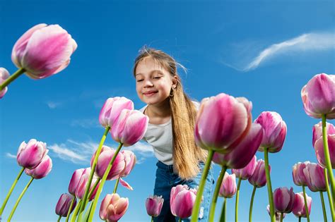 Ouderverklaringen Kindcentrum Emmelhage