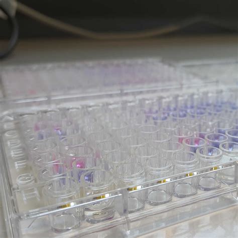 0 1 M Potassium Phosphate Buffer Ph 7 4