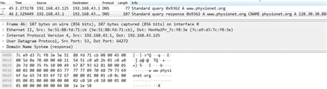 Dns Response In Frame 46 For The Dns Query In Frame 45 Download