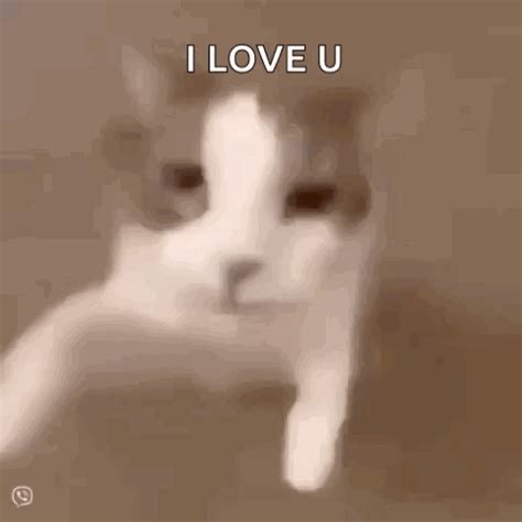 Morph Alura GitHub