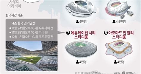 그래픽 2022 카타르 월드컵 경기장 위치