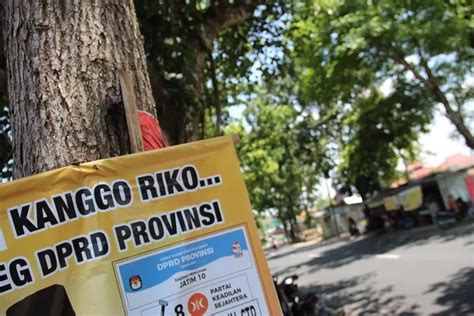 Banyak APK Caleg Di Jombang Dipaku Di Pohon Pegiat Lingkungan Caleg