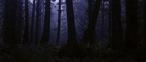 Exploitdb 一款轻量级用于抓取、展示和导出 Exploit Db中的漏洞数据的工具 Cn Sec 中文网