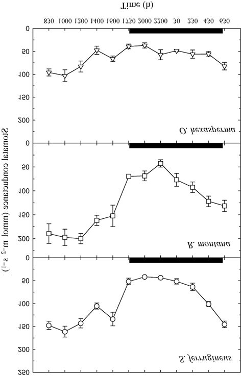 Daily Courses Of Stomatal Conductance During The Dry Season Data Are Download Scientific