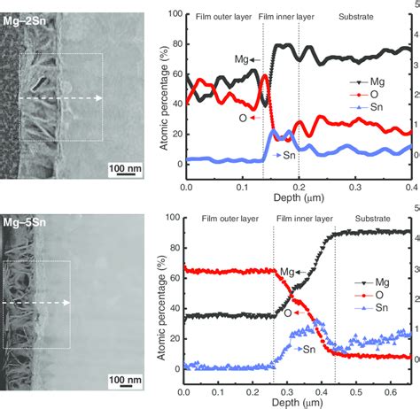 Cross Sectional Stem Images And Corresponding Eds Elemental Line Scans