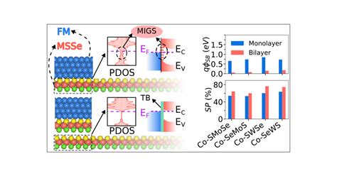 Tailoring Contact Properties In Janus Tmd Spin Fets For Enhanced Spin