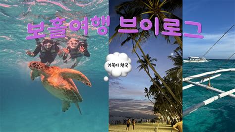 Vlog 보홀여행 브이로그🩵 거북이와 수영하는 나🌊 하루종일 물놀이를 하고싶다면 여기로⭐️ 해난리조트알로나비치