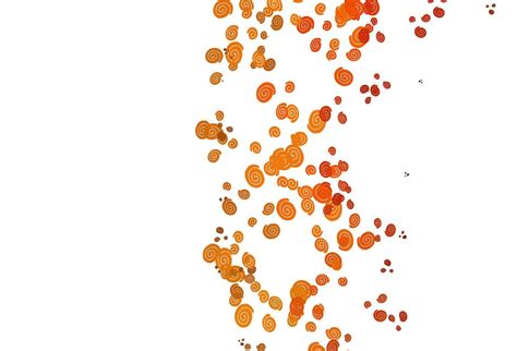 Light Orange Vector Template With Lines Ovals 9913750 Vector Art At Vecteezy