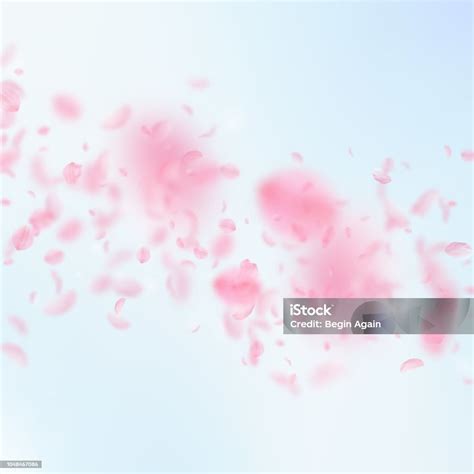 Kelopak Sakura Jatuh Bunga Merah Muda Romantis Jatuh Hujan Kelopak