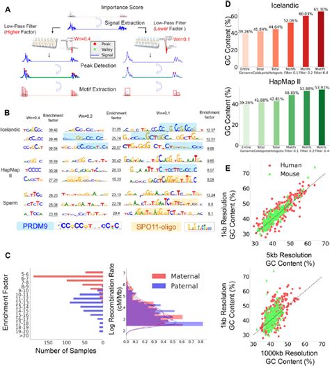 rhsnet quantifies the contribution of prdm9 binding motifs in variant