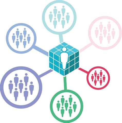 Segmentation Dataset Overview Outcomes Based Healthcare