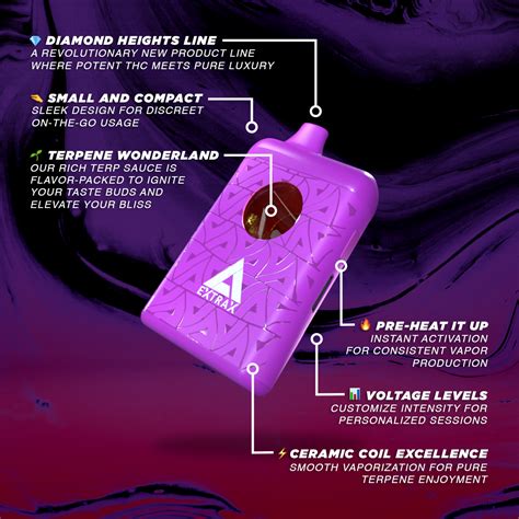 Get Lit With Terp Sauce Epic Ways To Experience Diamond Heights