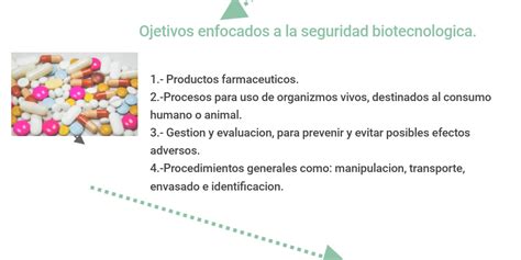 Protocolo De Cartagena Sobre Seguridad De La Biotecnología Del Convenio