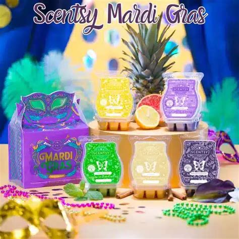January 2024 Bonus Scentsy Starter Kit New Scentsy Dryer Sheets