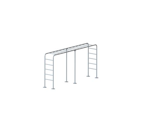 Dsw Horizontal Ladder Active Discovery