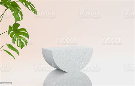 미용 제품 전시를 위한 자연의 아름다움 배경 패션 아름다움 파스텔 컬러 배경입니다 몬스테라속에 대한 스톡 사진 및 기타 이미지