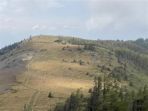 思い出の丘〜武石峰⛰️ ひつじさんの美ヶ原の活動データ Yamap ヤマップ