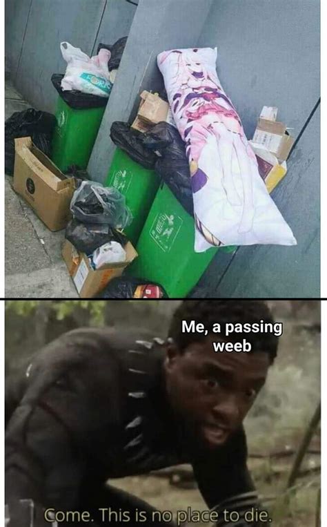 I Couldn T Stop Laughing R Justneckbeardthings