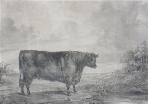 Denis Dighton Artist Performance At Auction Mutualart