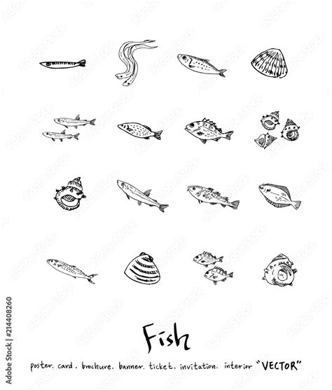 해산물 일러스트 손으로 그린 수산물 그림 Stock Vector Adobe Stock