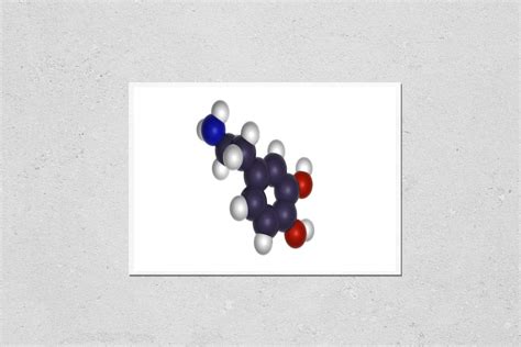 Buy Kwikmedia Reproduction Of 3d Structure Of Dopamine Molecule