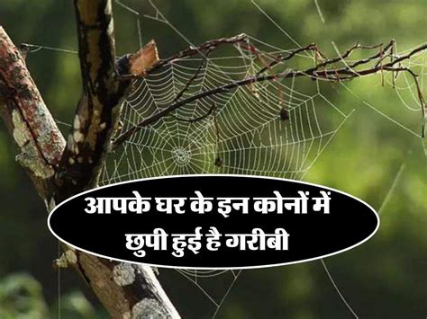 Vastu Tips आपके घर के इन कोनों में छुपी हुई है गरीबी जानिए कारण और आज