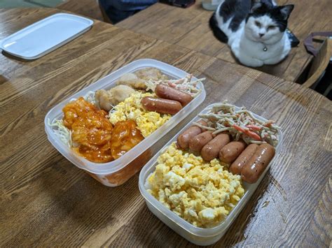 今日のお弁当 5月16日 名取さゆりのブログ