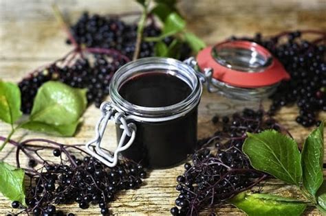 ანწლის კენკრის ჩაი დემოდეკოზის სამკურნალოდ სასარგებლო რჩევები