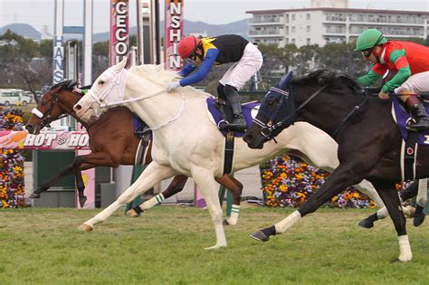 ソダシ 白毛馬史上初のg1制覇で2歳女王に／阪神jf Moment日刊ゲンダイ