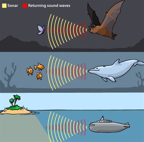Uses Of Ultrasonic Waves