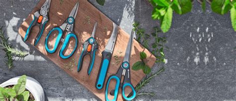 ¿cuáles Son Las Mejores Aplicaciones Para Cuidar Plantas Y Jardinería