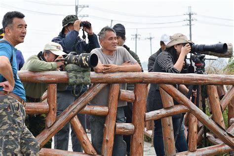休養兩週後野放 落難黑琵重返大自然 社團法人中華民國保護動物協會