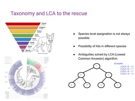 10 Taxonomic Profiling Otu Tables And Visualisation Introduction To Ancient Metagenomics