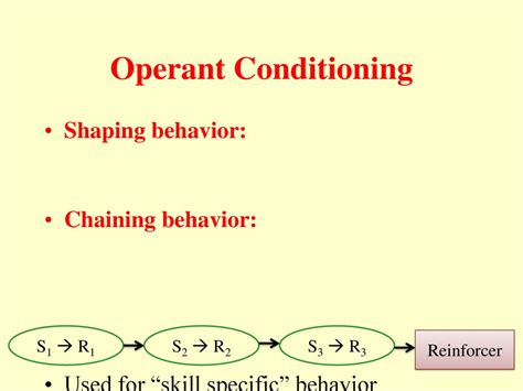Learning And Memory Lap 3 Chapters 9 And Ppt Download