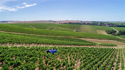 Products And Services Vineyards Robots Made In France By Vitibot