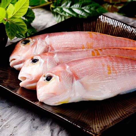 제주 참옥돔 반건조급냉 특 15kg 4~5마리 홈플러스 택배배송