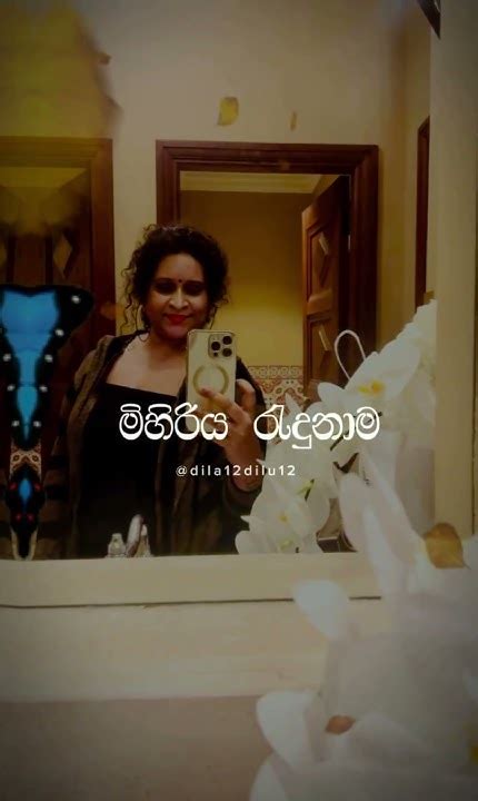කවියක්වි තොල් පෙති මත මුමුනන්න Song Sinhalasongs Love Dance Quotes Nature Travel Youtube