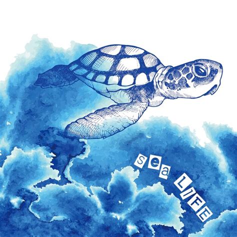 Hermosa Tortuga Con Un Efecto De Acuarela Tortuga Marina Vector De