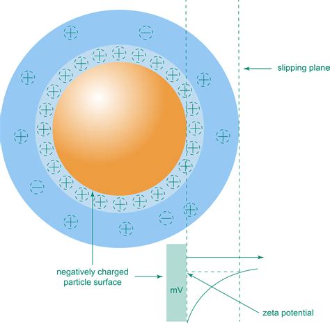 Zeta Potential A Fundamental Measure For Colloidal Behavior Cd Bioparticles Blog