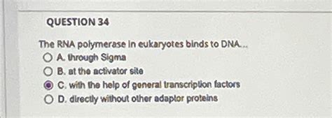 Solved QUESTION 34The RNA Polymerase In Eukaryotes Binds To Chegg