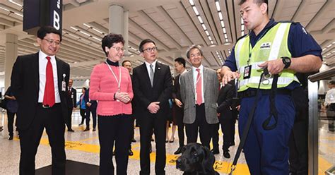 港鐵沙中綫工程醜聞越挖越深 林鄭指政府必嚴肅處理 Rfa 自由亞洲電台粵語部