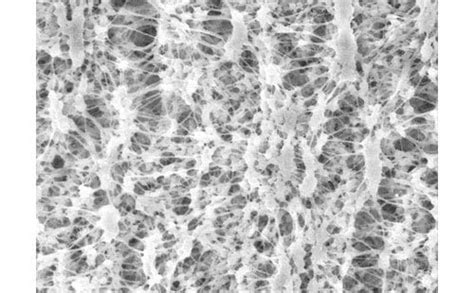 Millipore®实验室滤膜 增强纤维素滤膜 石英纤维滤膜 默克生命科学