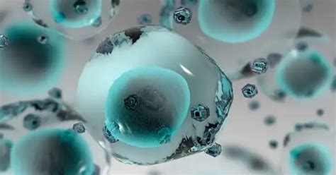 Researchers Devise A New Way For Increasing The Efficacy Of