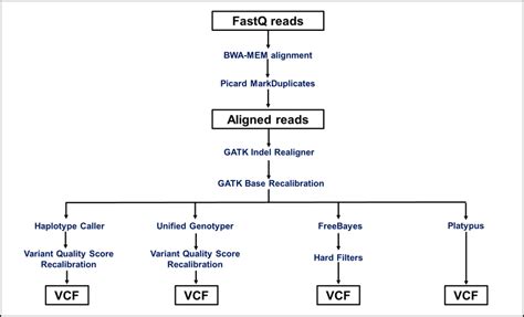 The Variant Calling Pipeline Used To Call Variants In The Na12878